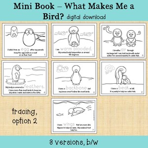 What Makes Me a Bird? Penguin Mini Coloring Book Printable - Etsy