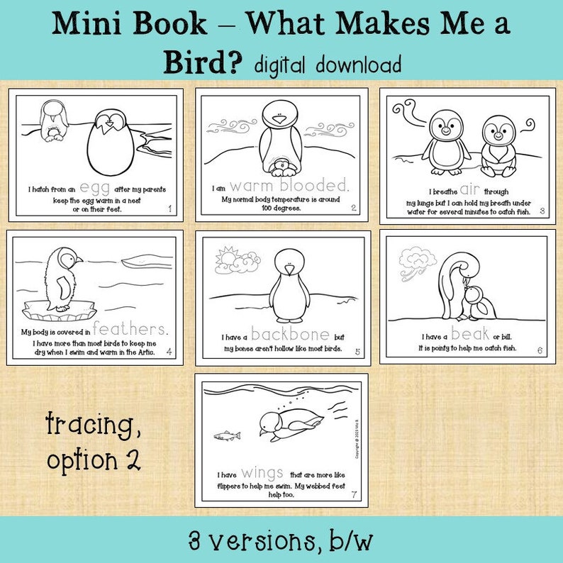 What Makes Me a Bird? Penguin Mini Coloring Book Printable - Etsy