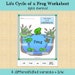 Life Cycle of an Amphibian - Frog Printable Worksheet - Etsy