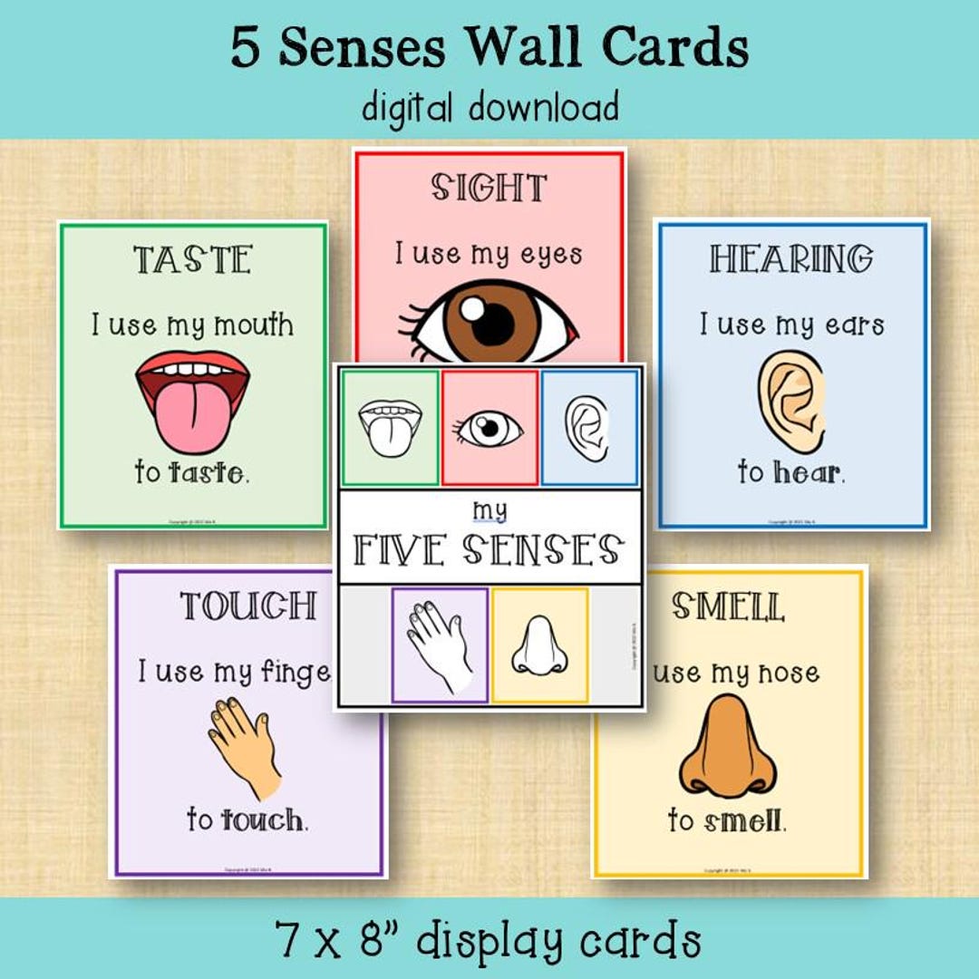 Wall Cards - Fives Senses | Biology Human Body | No Prep Bulletin Board ...