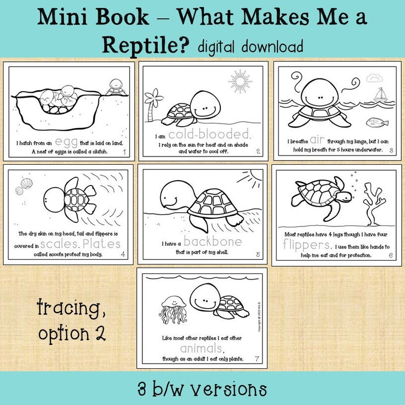 What Makes Me a Reptile Sea Turtle Mini Coloring Book Printable - Etsy