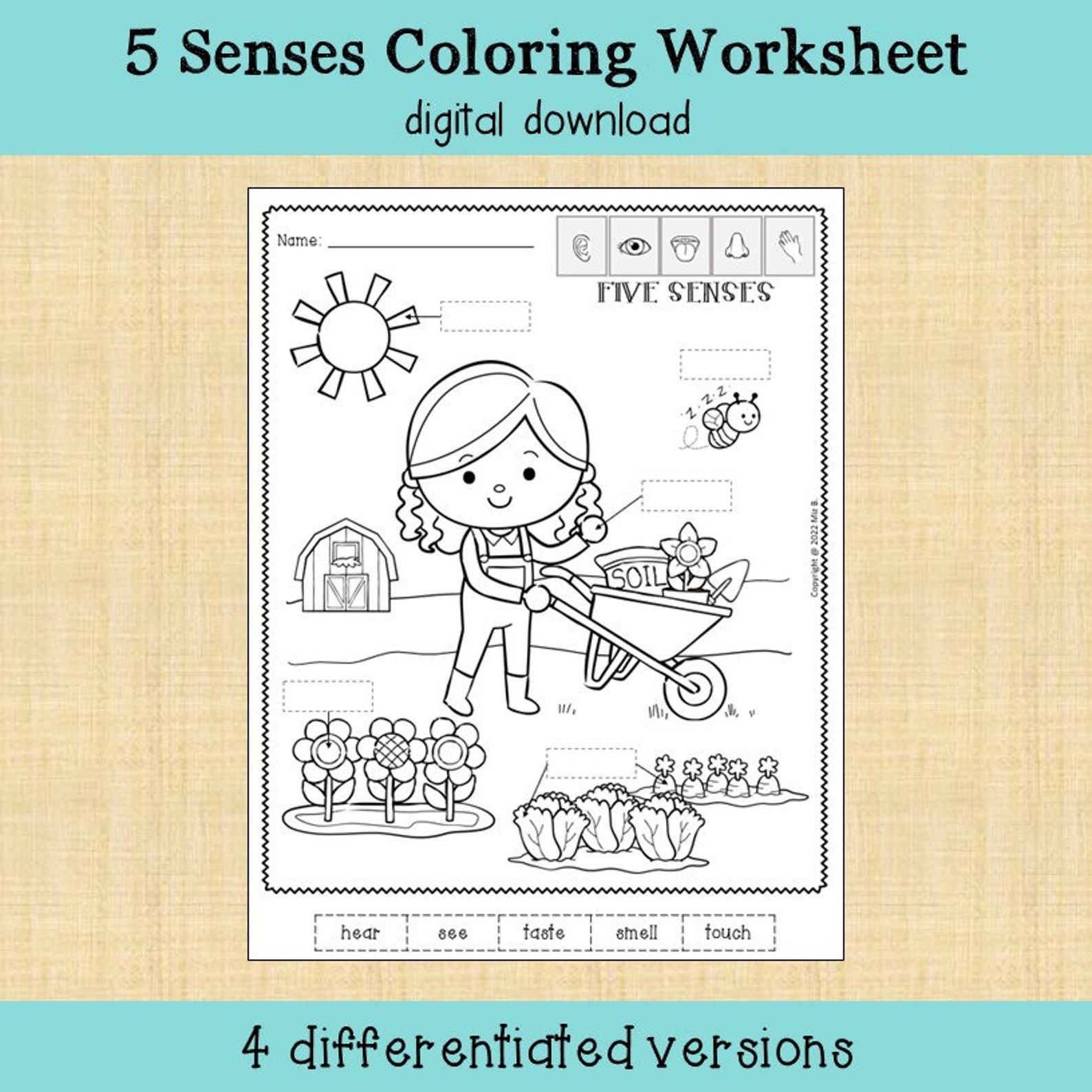 My Body - Five Senses Coloring Worksheet Printable - Etsy