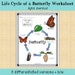 Life Cycle of an Insect - Monarch Butterfly Printable Worksheet - Etsy
