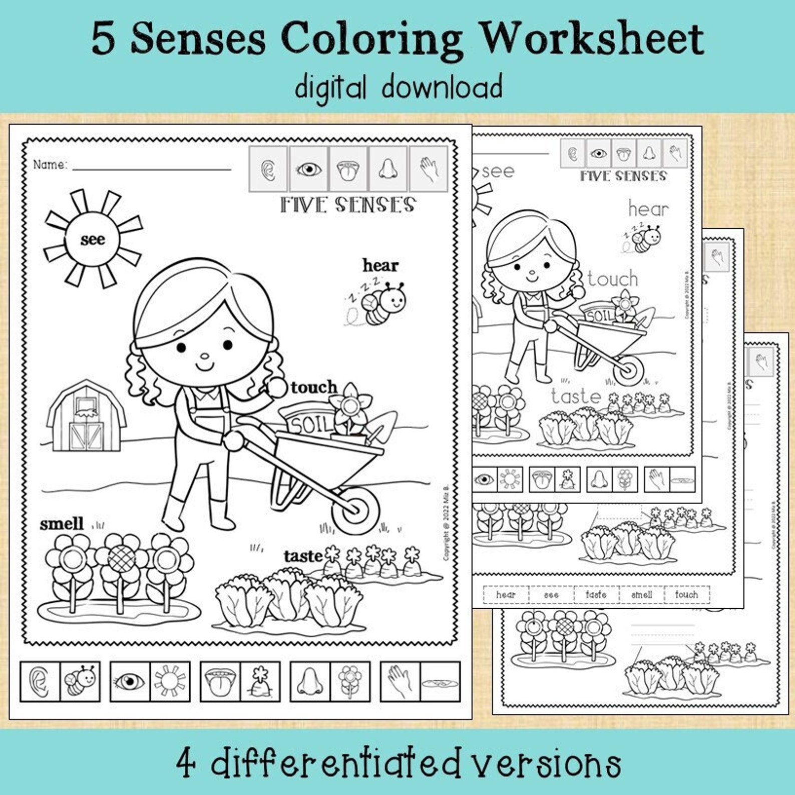 My Body - Five Senses Coloring Worksheet Printable - Etsy
