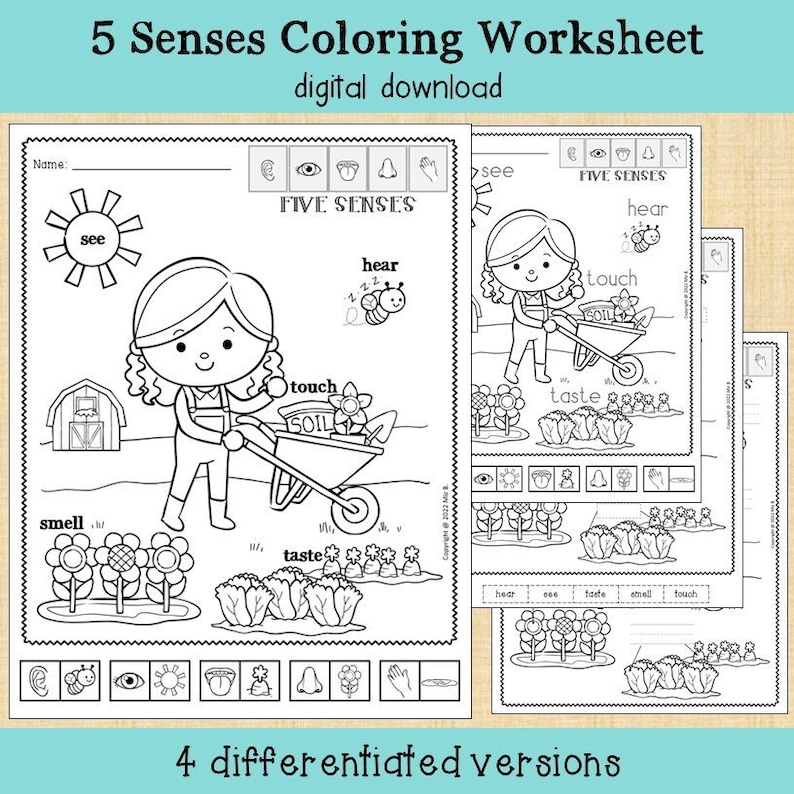 My Body - Five Senses Coloring Worksheet Printable - Etsy