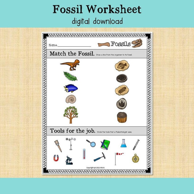 Fossils Worksheet: Paleontology Matching Activity (digital Download) - Etsy