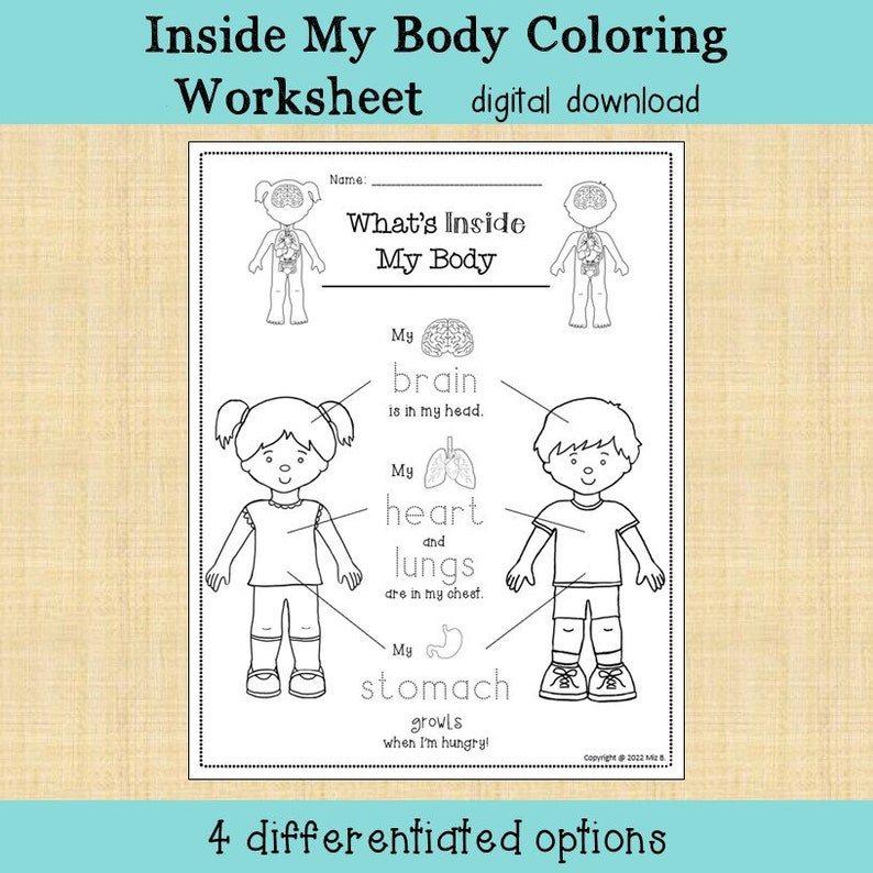 What's Inside My Body Coloring Worksheet Printable - Etsy