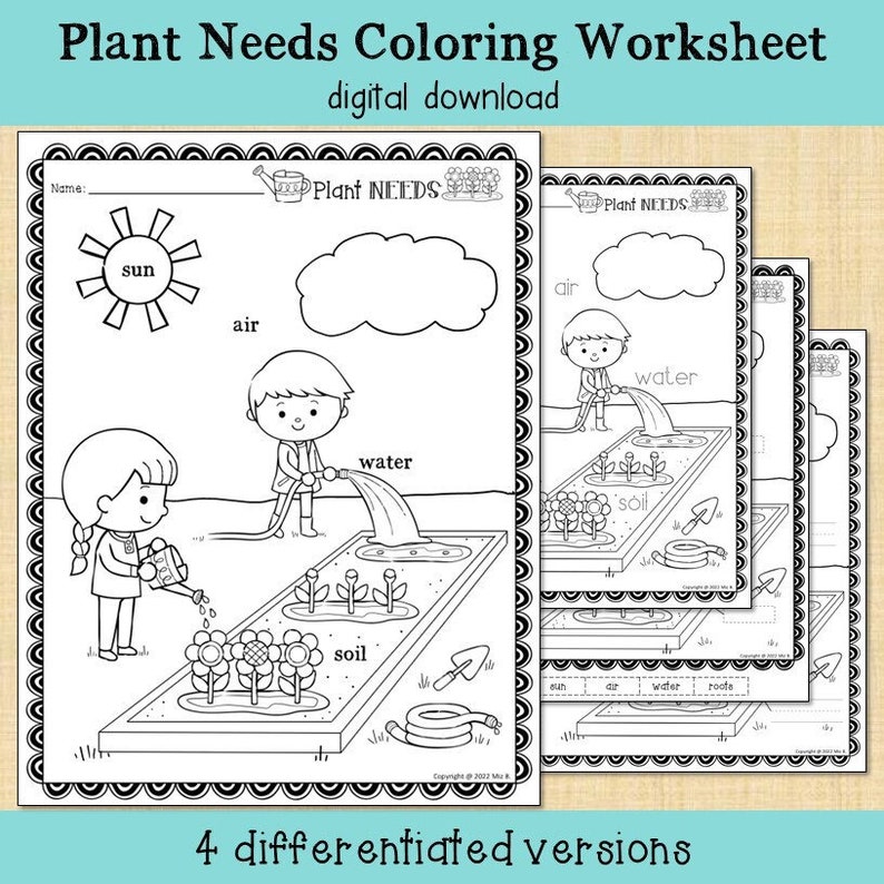 Plant Needs Worksheet Printable - Etsy
