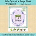 Life Cycle of a Plant - Grape Printable Worksheet - Etsy
