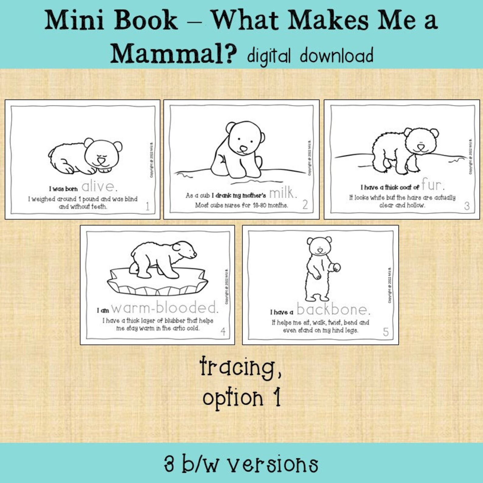 Animal Characteristics Mini Book Bundle | 6 Animal Classes - Etsy
