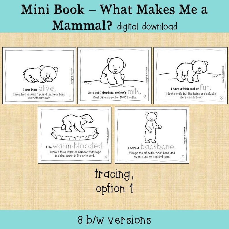Animal Characteristics Mini Book Bundle | 6 Animal Classes - Etsy