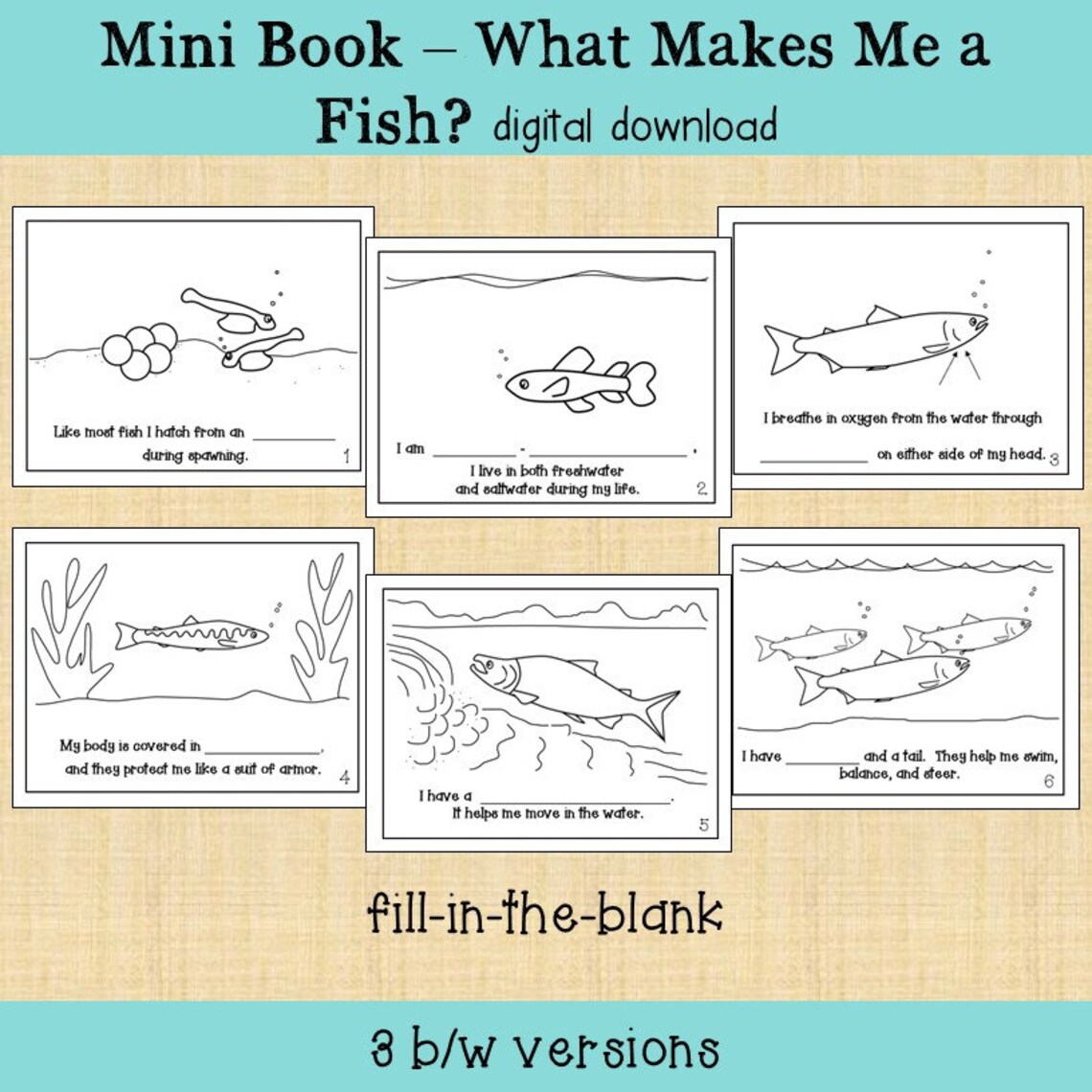 What Makes Me a Fish? Salmon Mini Coloring Book Printable - Etsy