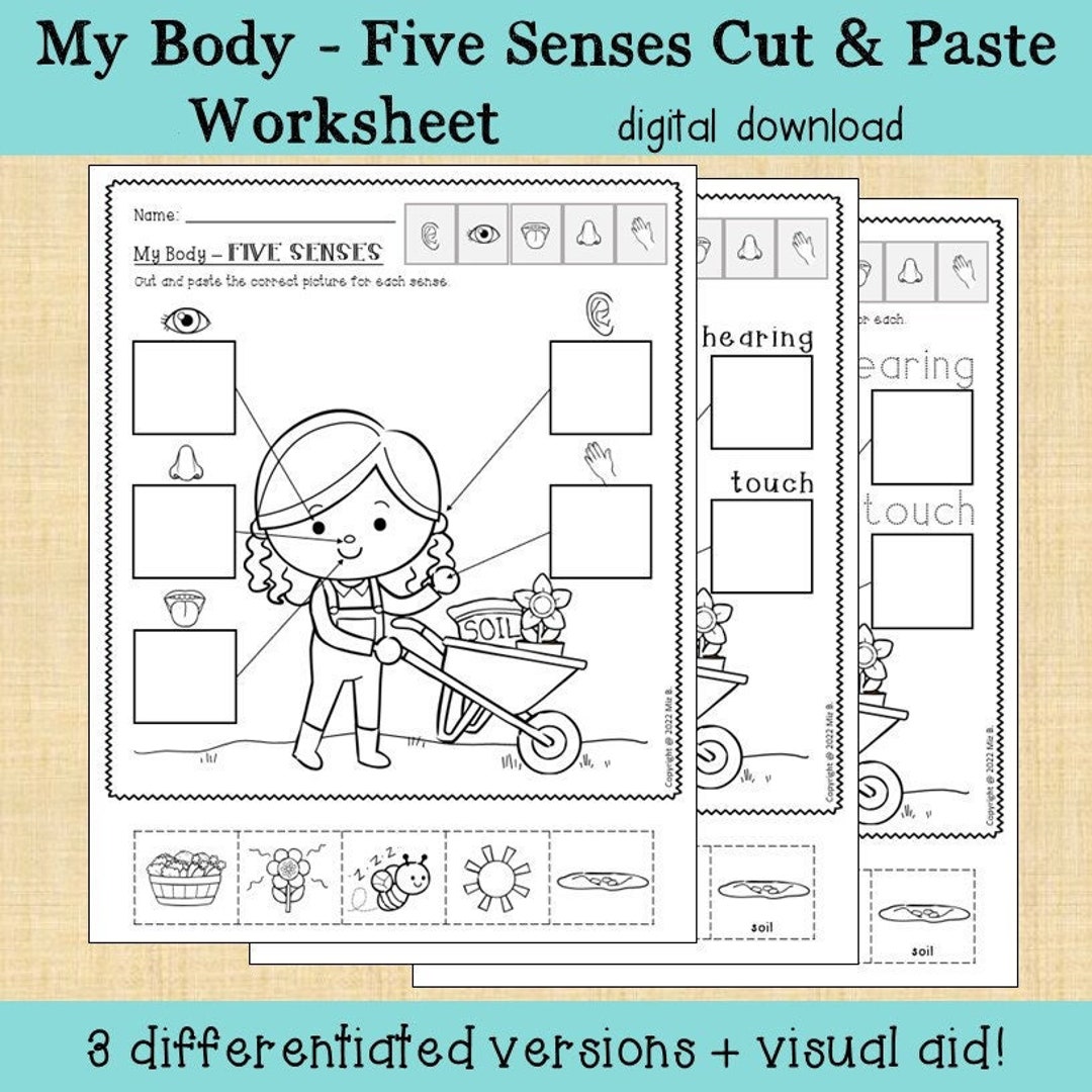 My Body - Five Senses Cut and Sort Worksheet - Etsy