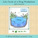 Life Cycle of an Amphibian - Frog Printable Worksheet - Etsy