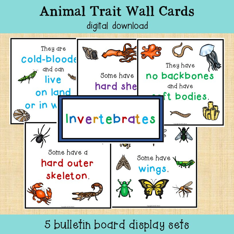 Animal Traits Wall Cards for Bulletin Board Printable - Etsy