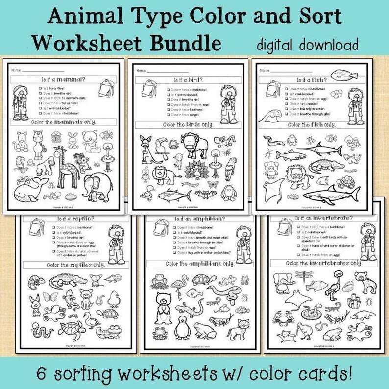 Animal Type / Classification Color and Sort Worksheets - Etsy