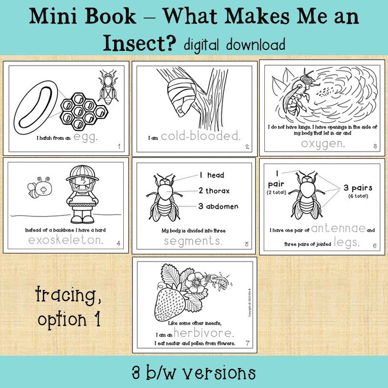 Animal Characteristics Mini Book Bundle | 6 Animal Classes - Etsy