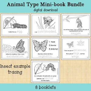 Animal Characteristics Mini Book Bundle | 6 Animal Classes - Etsy