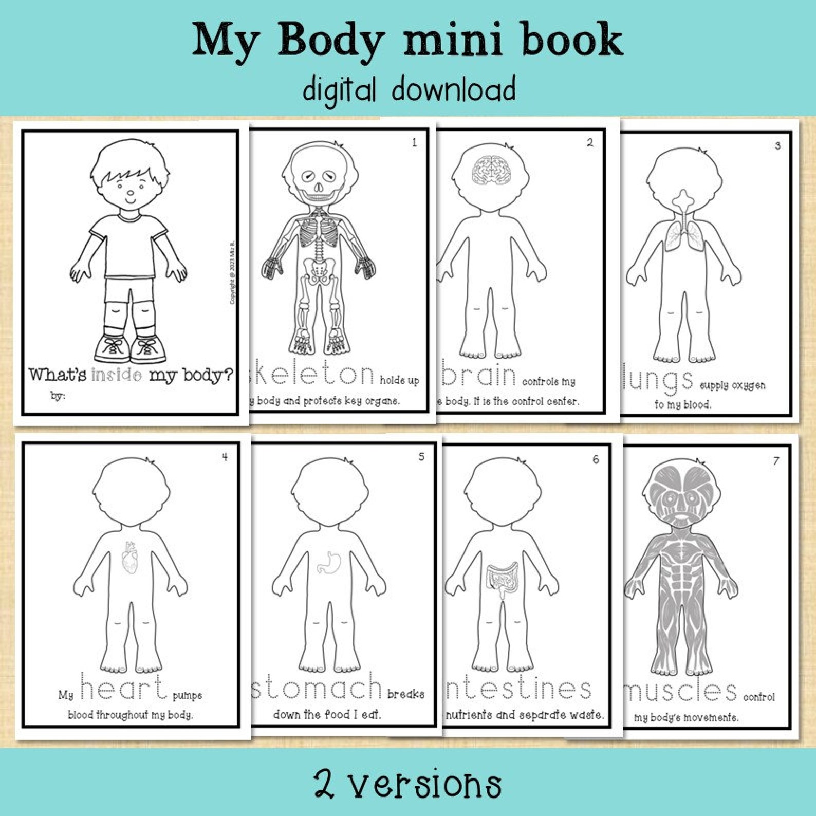 My Body - What's Inside? Mini Book Printable - Etsy