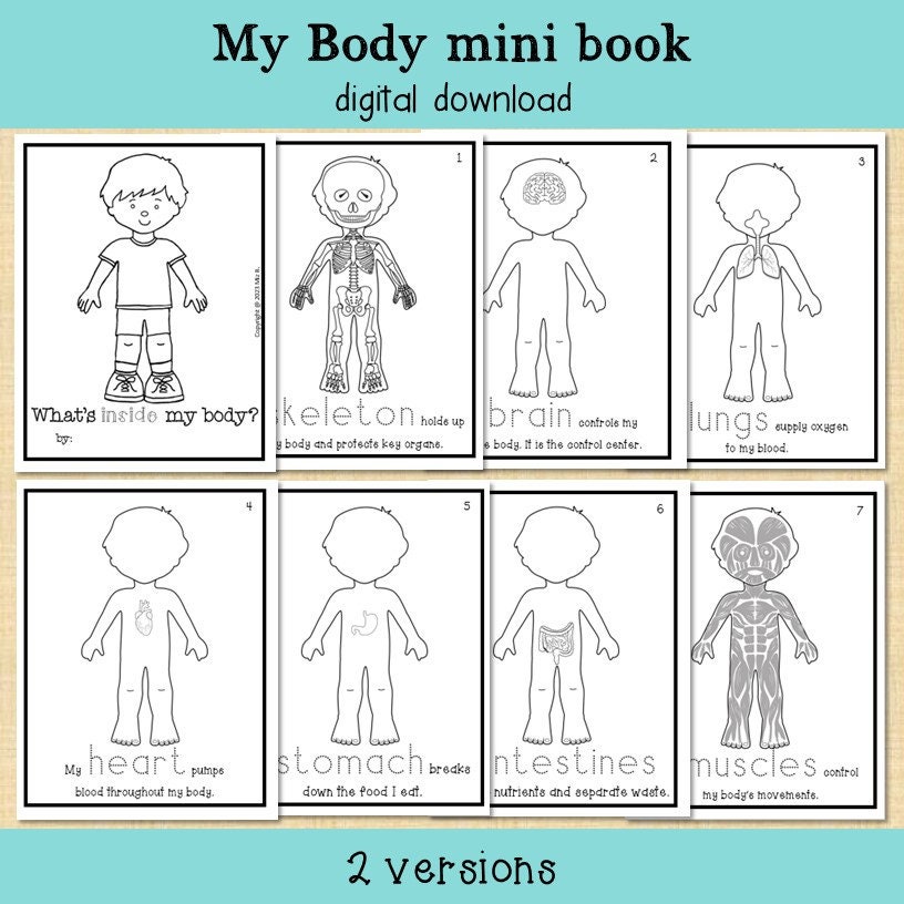 My Body - What's Inside? Mini Book Printable - Etsy