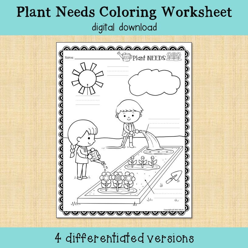 Plant Needs Worksheet Printable - Etsy