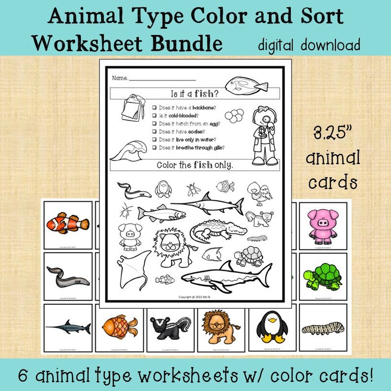 Animal Type / Classification Color and Sort Worksheets - Etsy