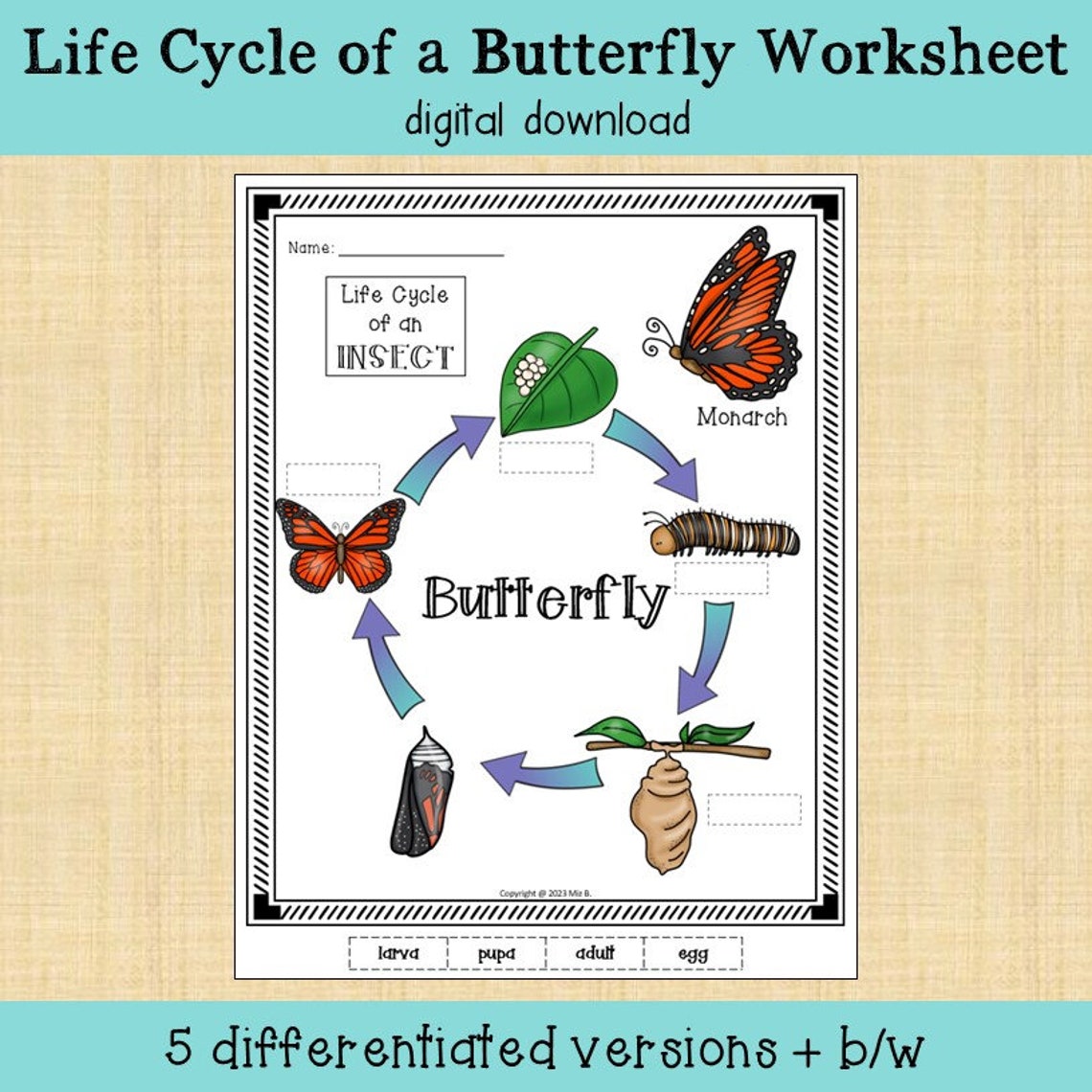 Life Cycle of an Insect - Monarch Butterfly Worksheet | Science Biology ...