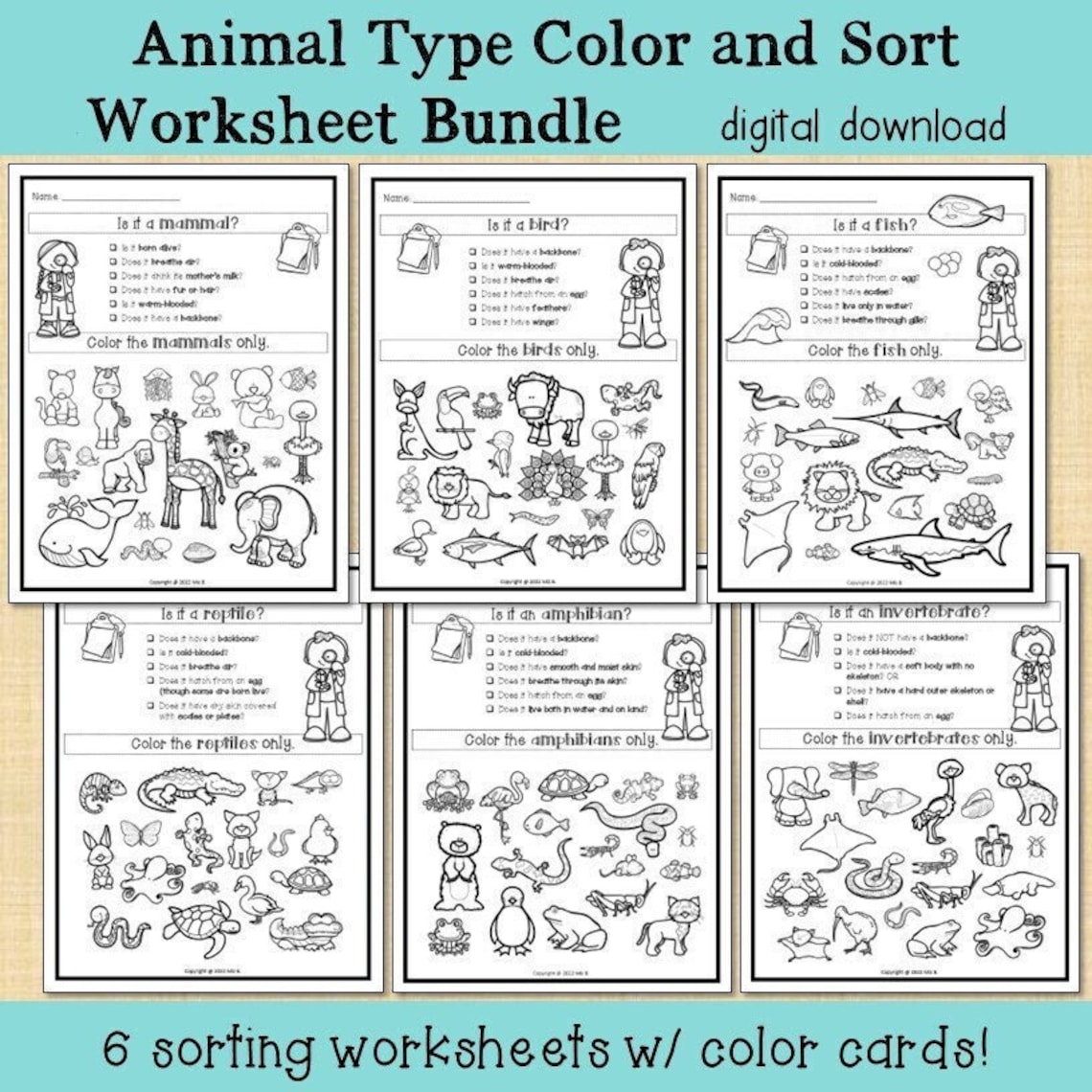 Animal Type / Classification Coloring Sorting Worksheets | Science ...