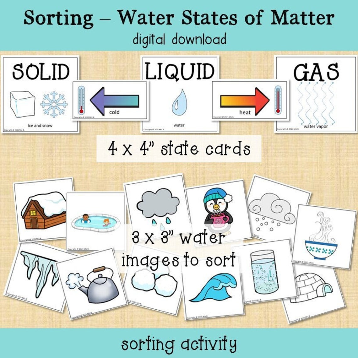 Water States of Matter Sorting Activity - Etsy