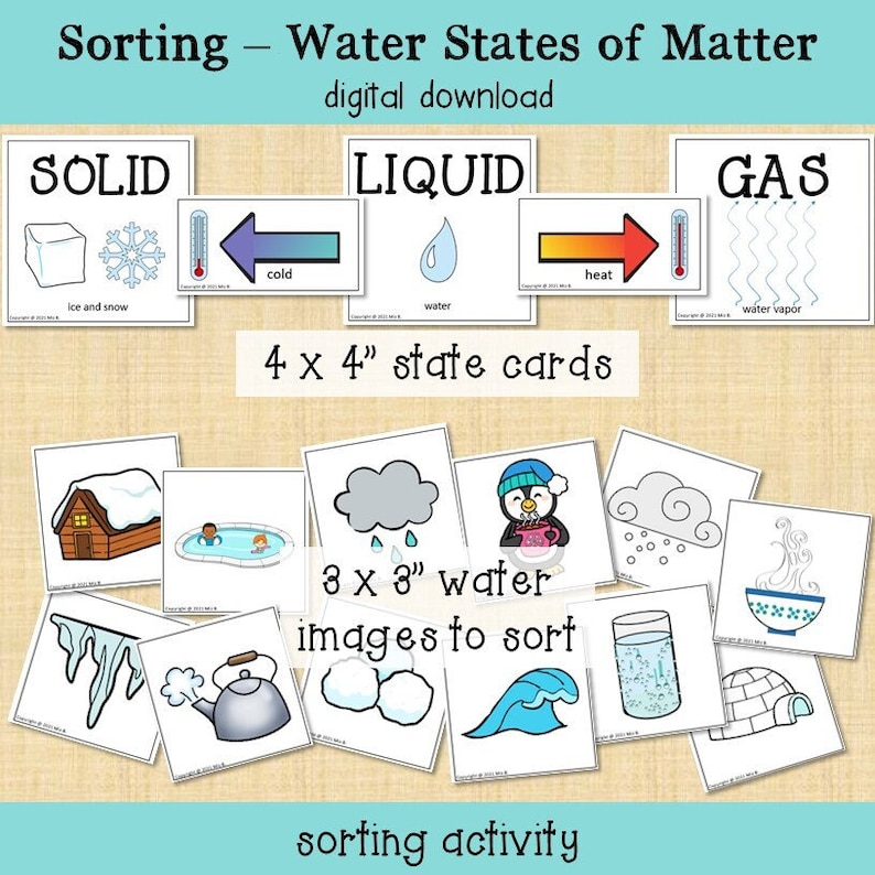 Water States of Matter Sorting Activity - Etsy