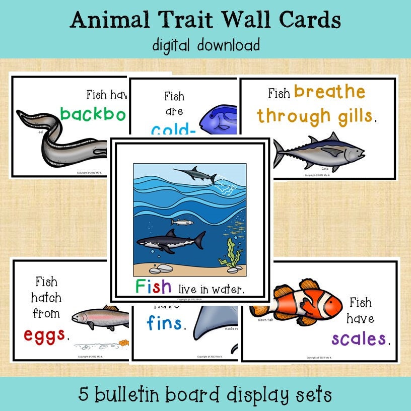 Animal Traits Wall Cards for Bulletin Board Printable - Etsy