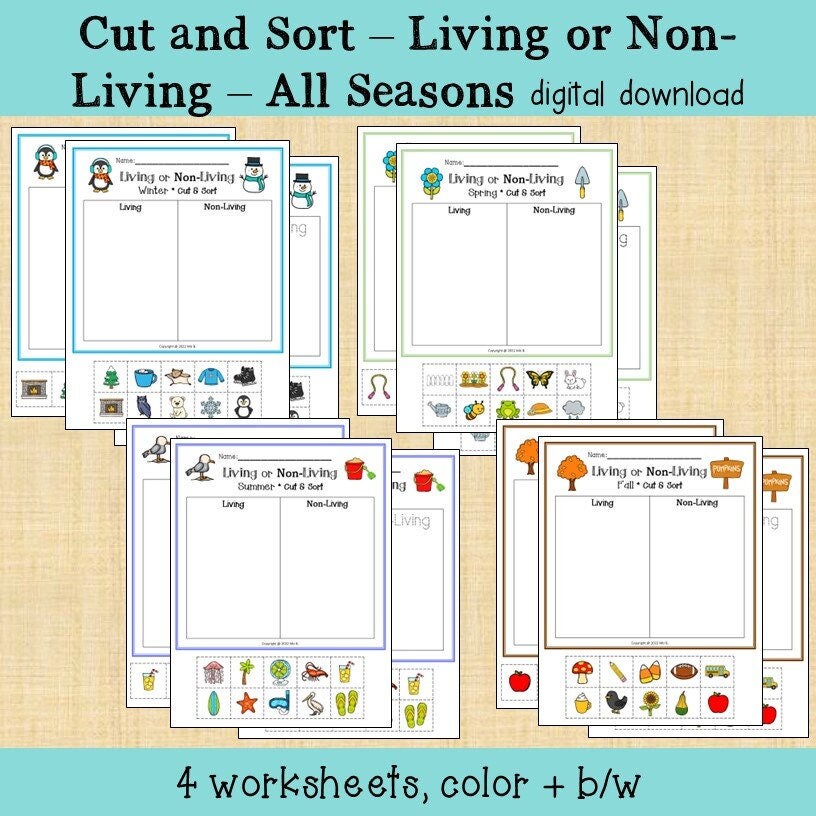 Living or Non-living Sorting Worksheet - All Seasons - Winter, Spring ...