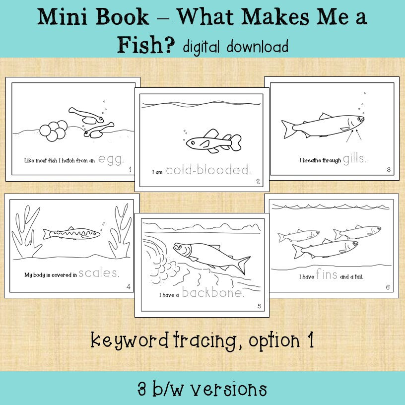 What Makes Me a Fish? Salmon Mini Coloring Book Printable - Etsy