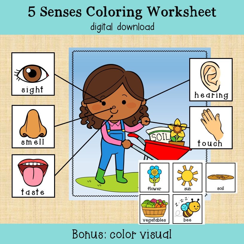 My Body - Five Senses Coloring Worksheet Printable - Etsy