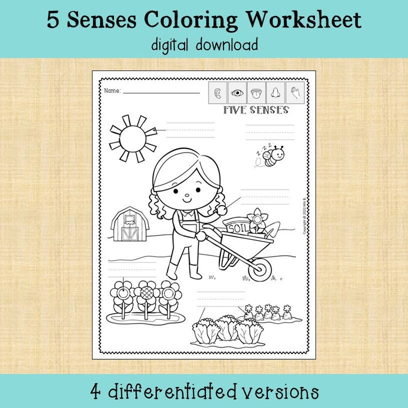 My Body - Five Senses Coloring Worksheet Printable - Etsy