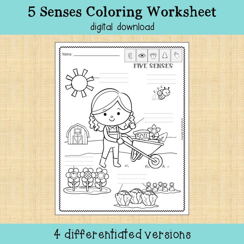 My Body - Five Senses Coloring Worksheet Printable - Etsy