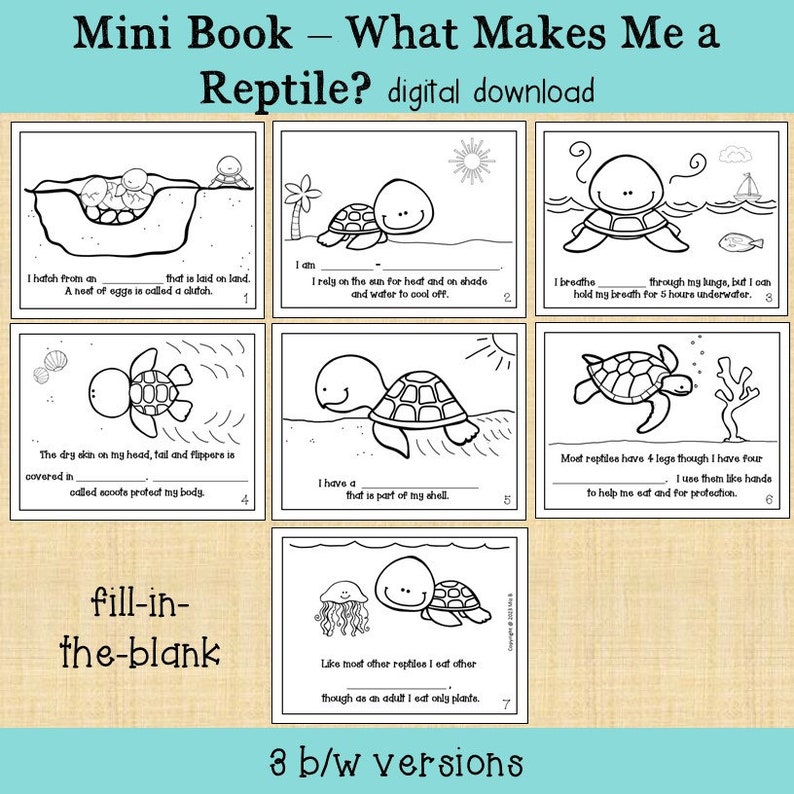 What Makes Me a Reptile? Sea Turtle Mini Coloring Book Printable - Etsy