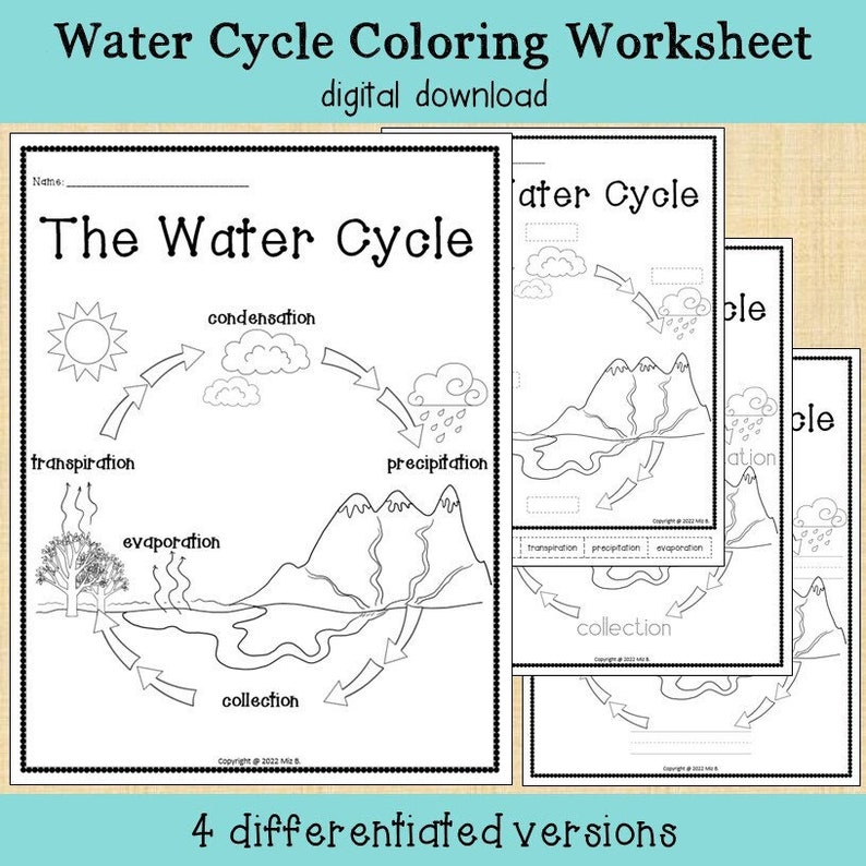 Water Cycle Coloring Worksheet - Etsy