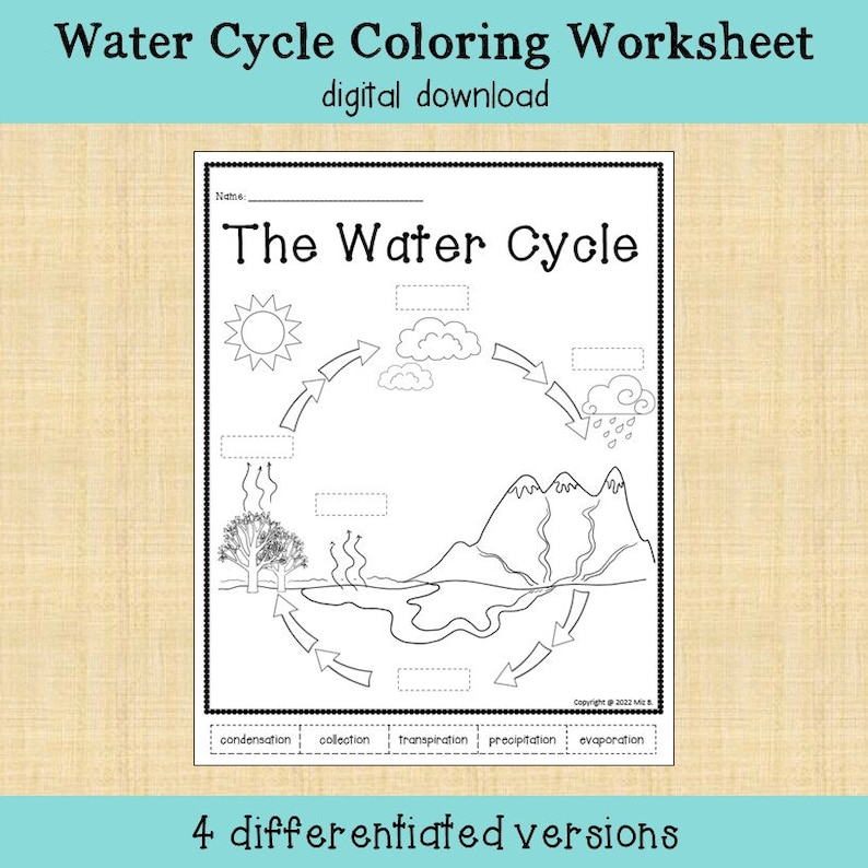Water Cycle Coloring Worksheet - Etsy
