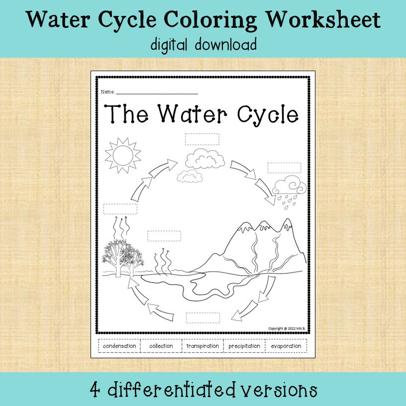 Water Cycle Coloring Worksheet - Etsy