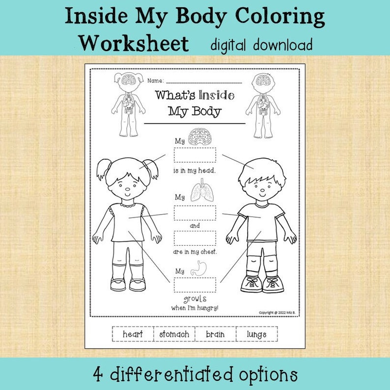 What's Inside My Body Coloring Worksheet Printable - Etsy