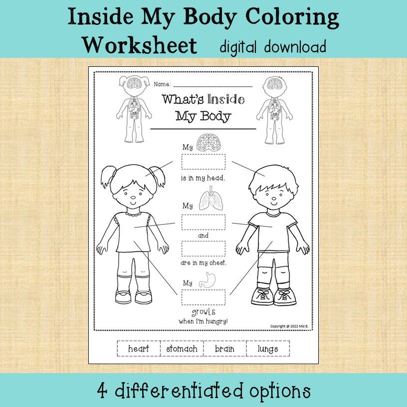 What's Inside My Body Coloring Worksheet Printable - Etsy