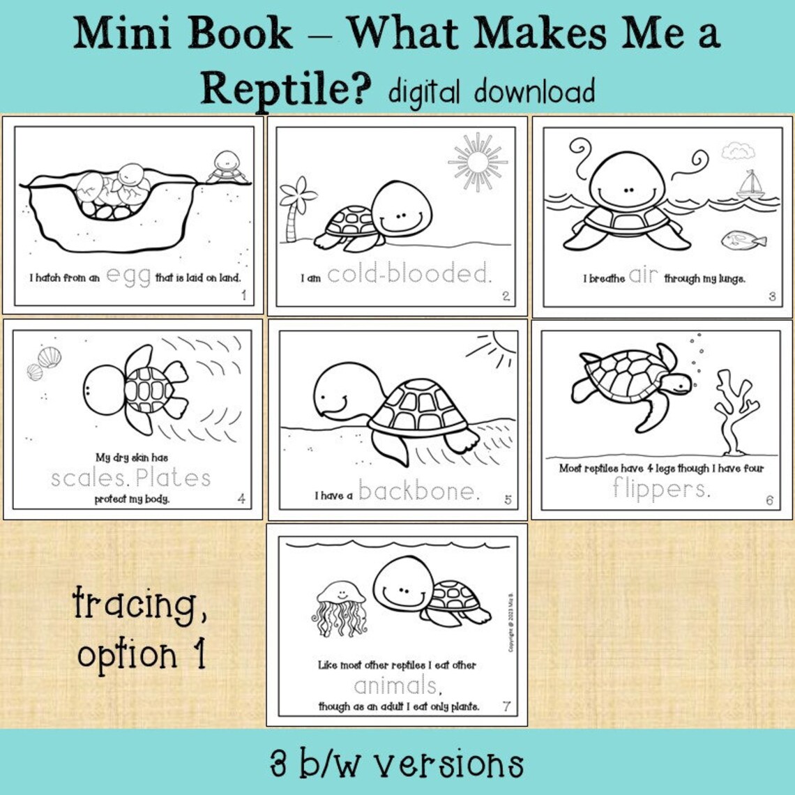 Animal Characteristics Mini Book Bundle | 6 Animal Classes - Etsy
