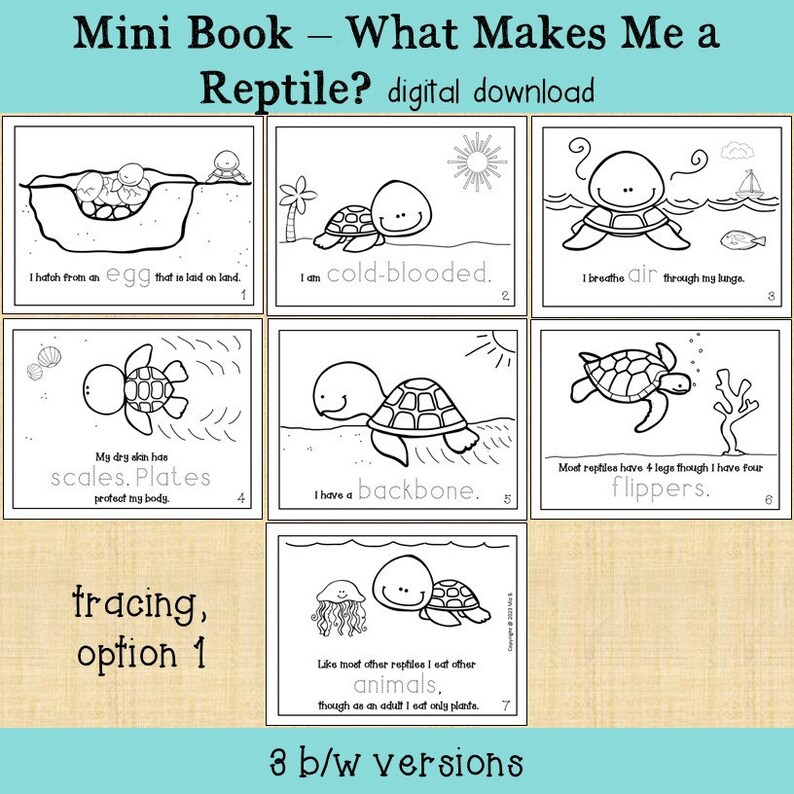 Animal Characteristics Mini Book Bundle | 6 Animal Classes - Etsy
