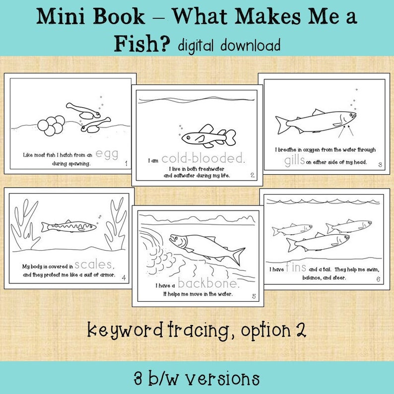 What Makes Me a Fish? Salmon Mini Coloring Book Printable - Etsy