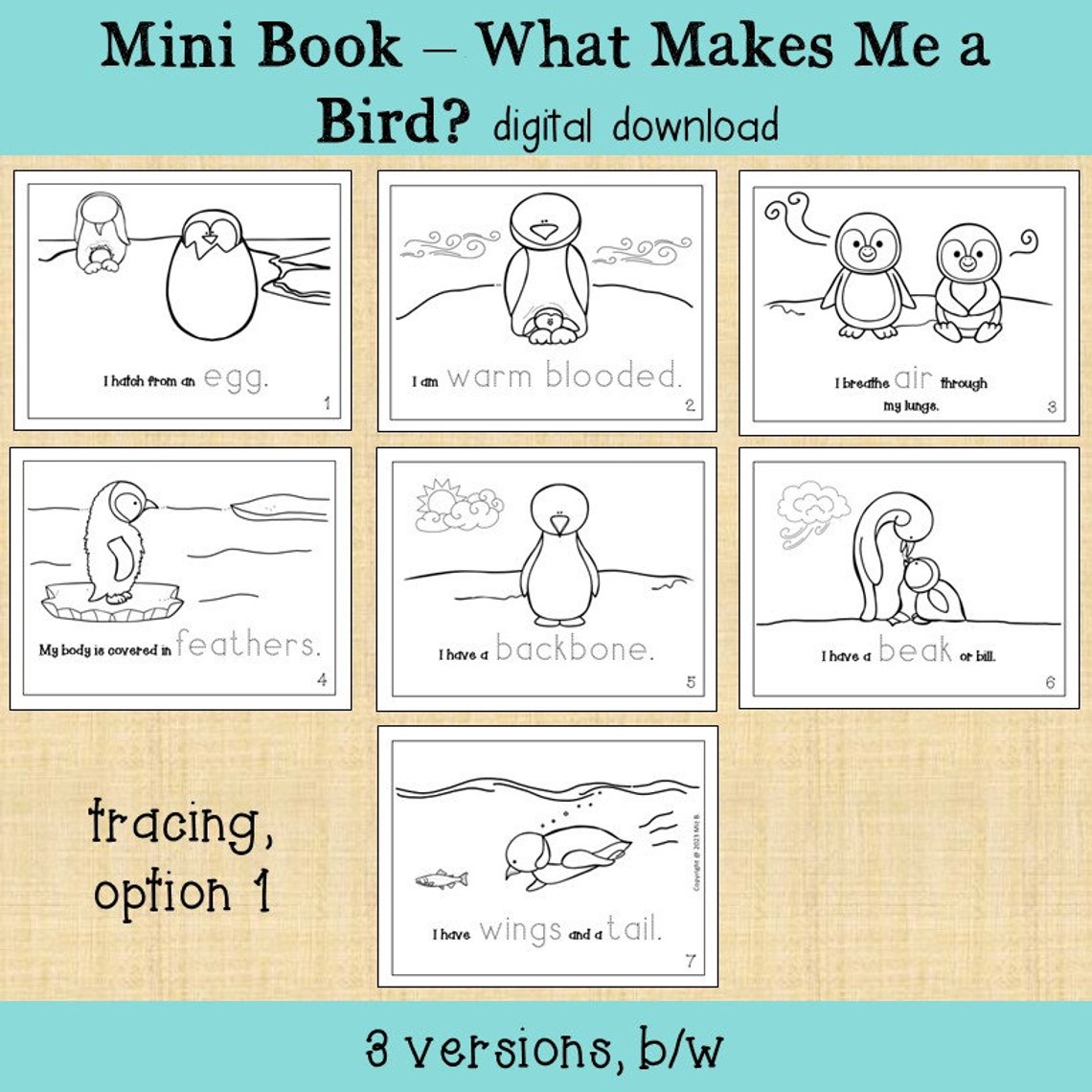 What Makes Me a Bird Penguin Mini Coloring Book Printable - Etsy