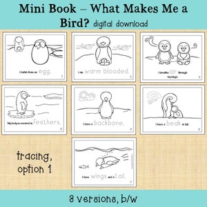 What Makes Me a Bird? Penguin Mini Coloring Book Printable - Etsy