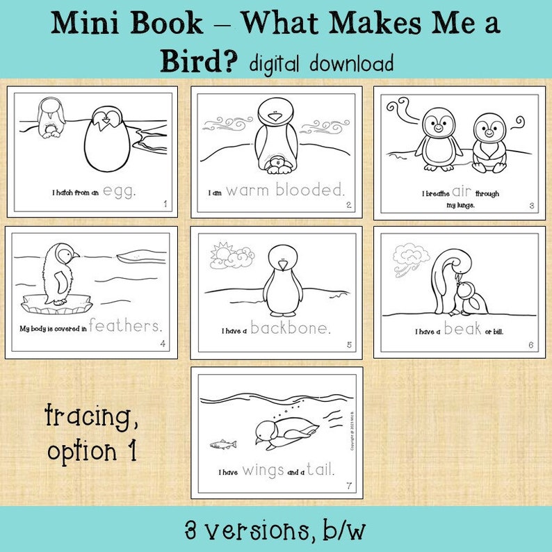 What Makes Me a Bird? Penguin Mini Coloring Book Printable - Etsy