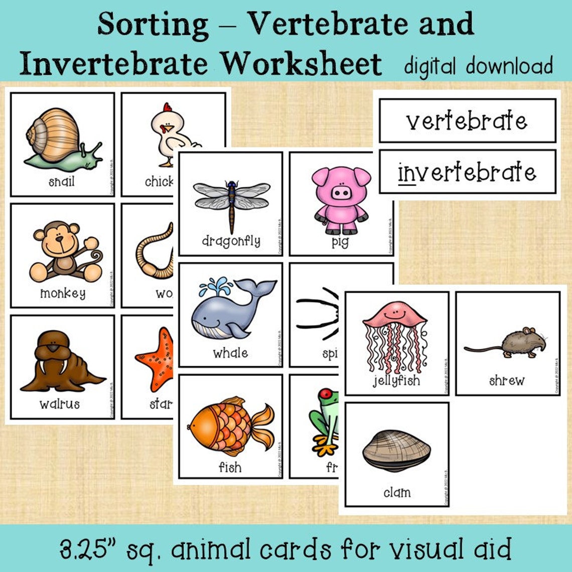Vertebrates and Invertebrates Sorting Worksheet Printable - Etsy