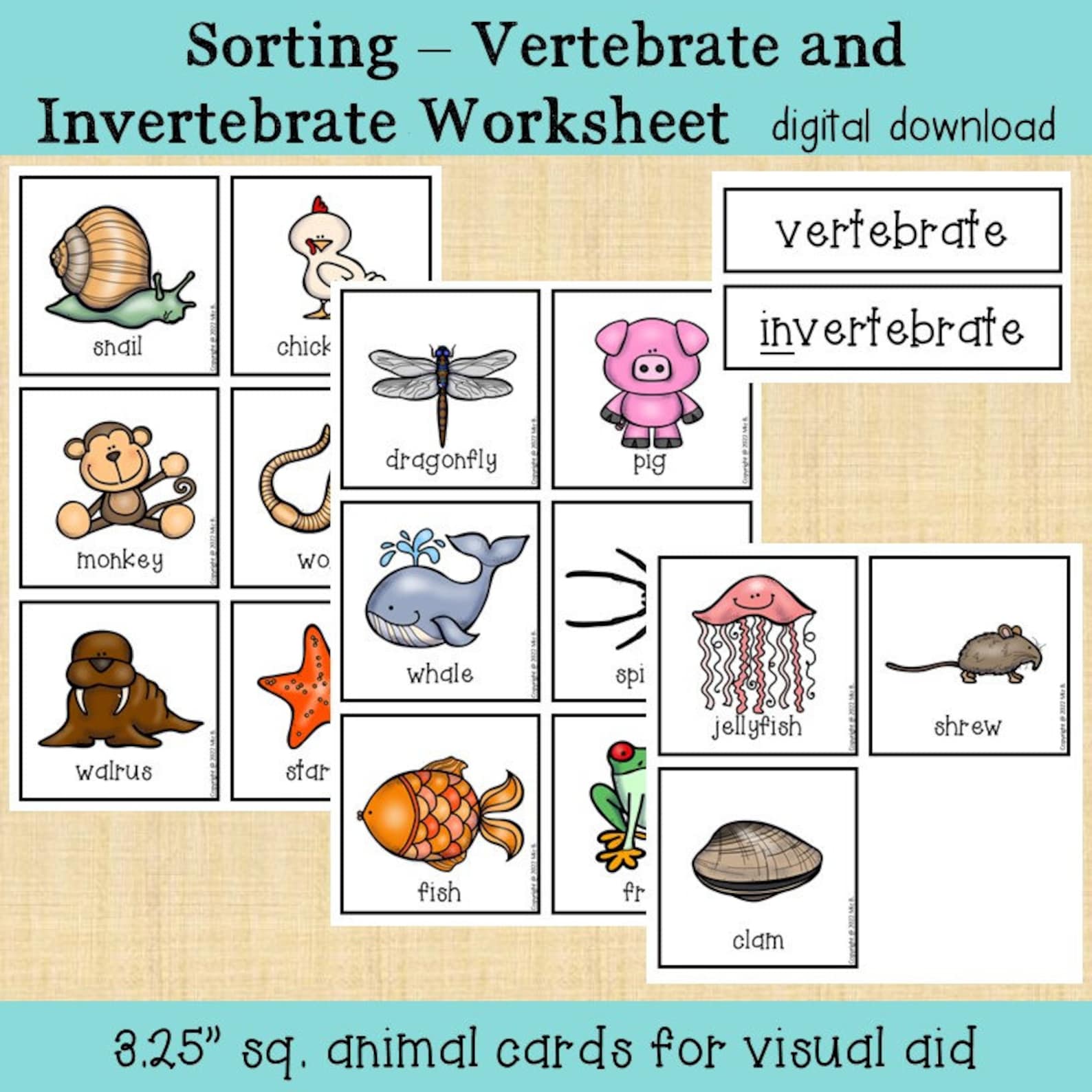 Vertebrates and Invertebrates Sorting Worksheet Printable - Etsy